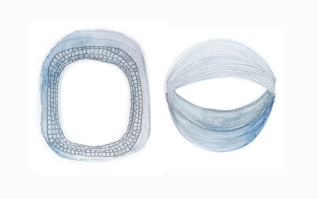 Fashion and Sustainability FAQs – Kate Fletcher